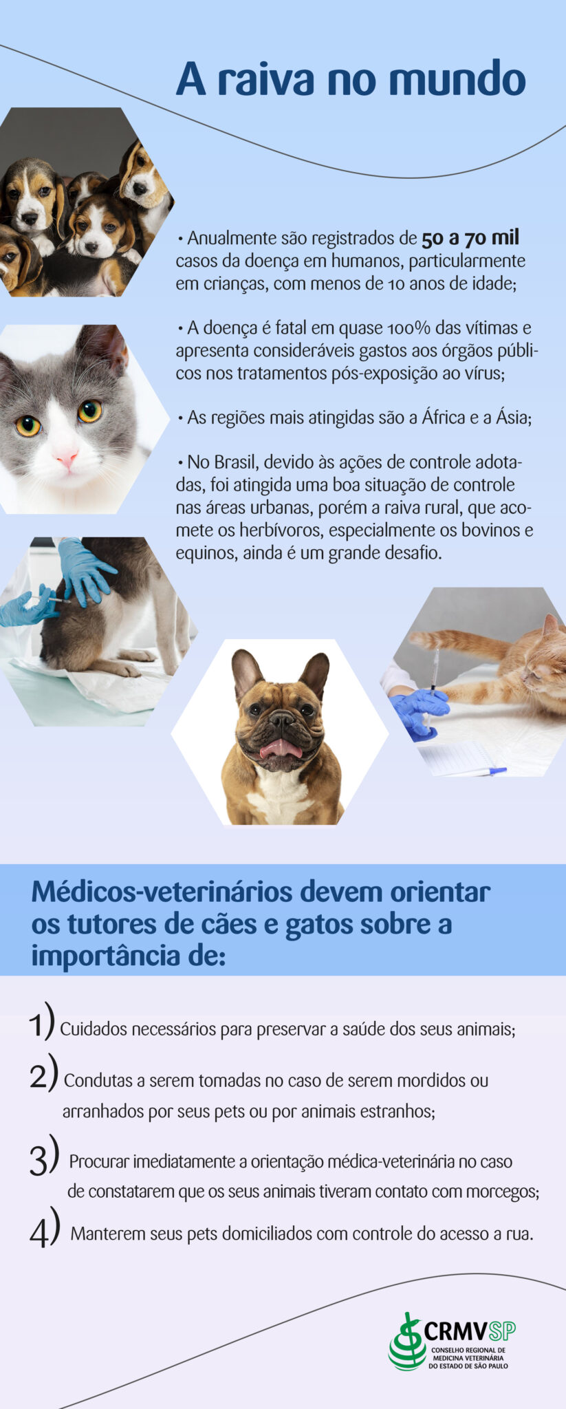 Aplicativo traz informações sobre raiva em pets e humanos - CRMV-SP